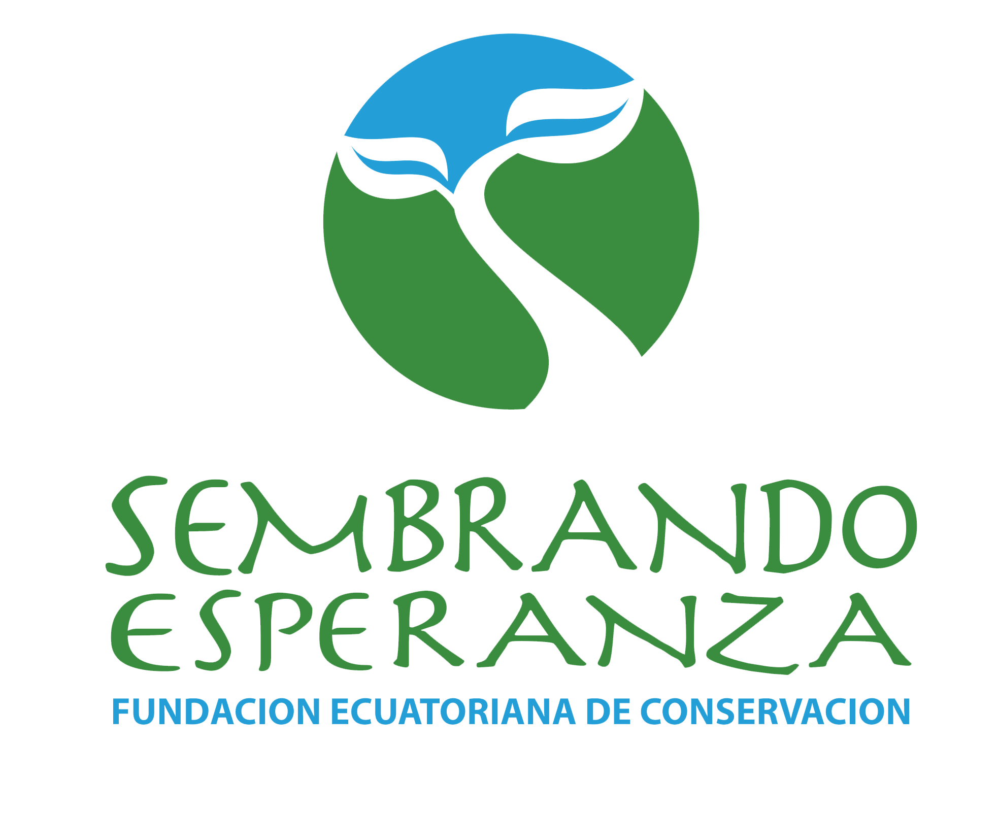 Construye tu Jardín Vertical: Guía de Reforestación